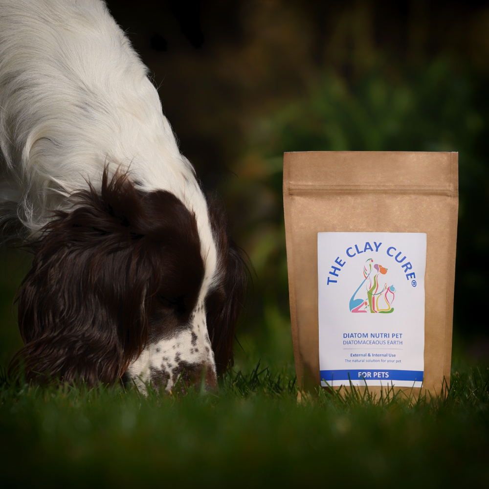 Green Healing Clay for Dogs, Cats & Pets - The Clay Cure Co.