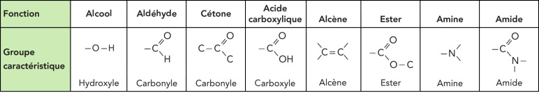 Les Différentes Molécules – L’isomérie : définitions et différents ...