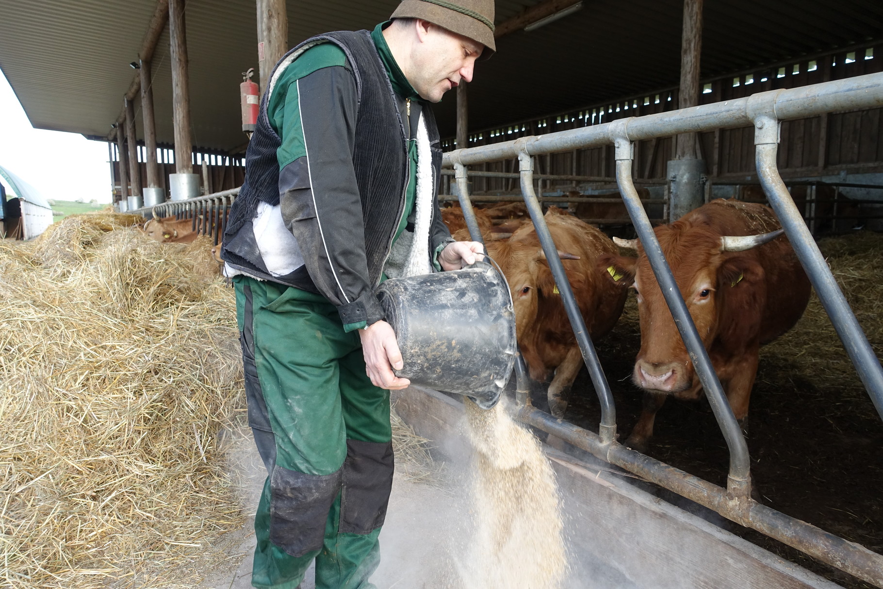 Bainerhof- Bildergalerie - bainerhofs Webseite!