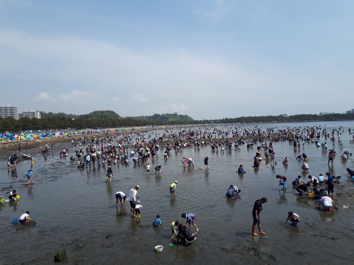 今期初襲来 - speedwall〈ｽﾋﾟｰﾄﾞｳｫｰﾙ〉