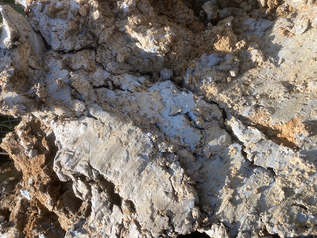 Investigating Slopes on Lias Group Clay Affected by Solifluction - Geo ...