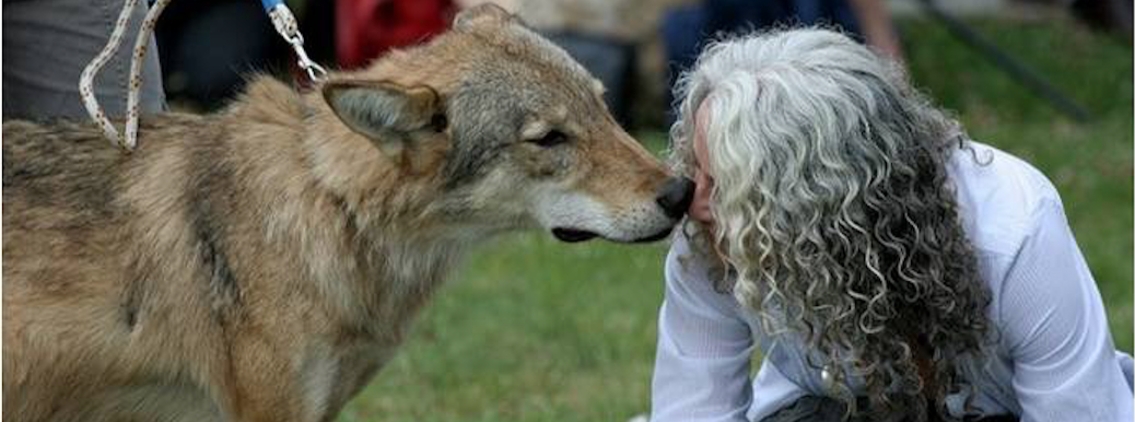 The Canine Commandments - Official Website of Kendal Shepherd