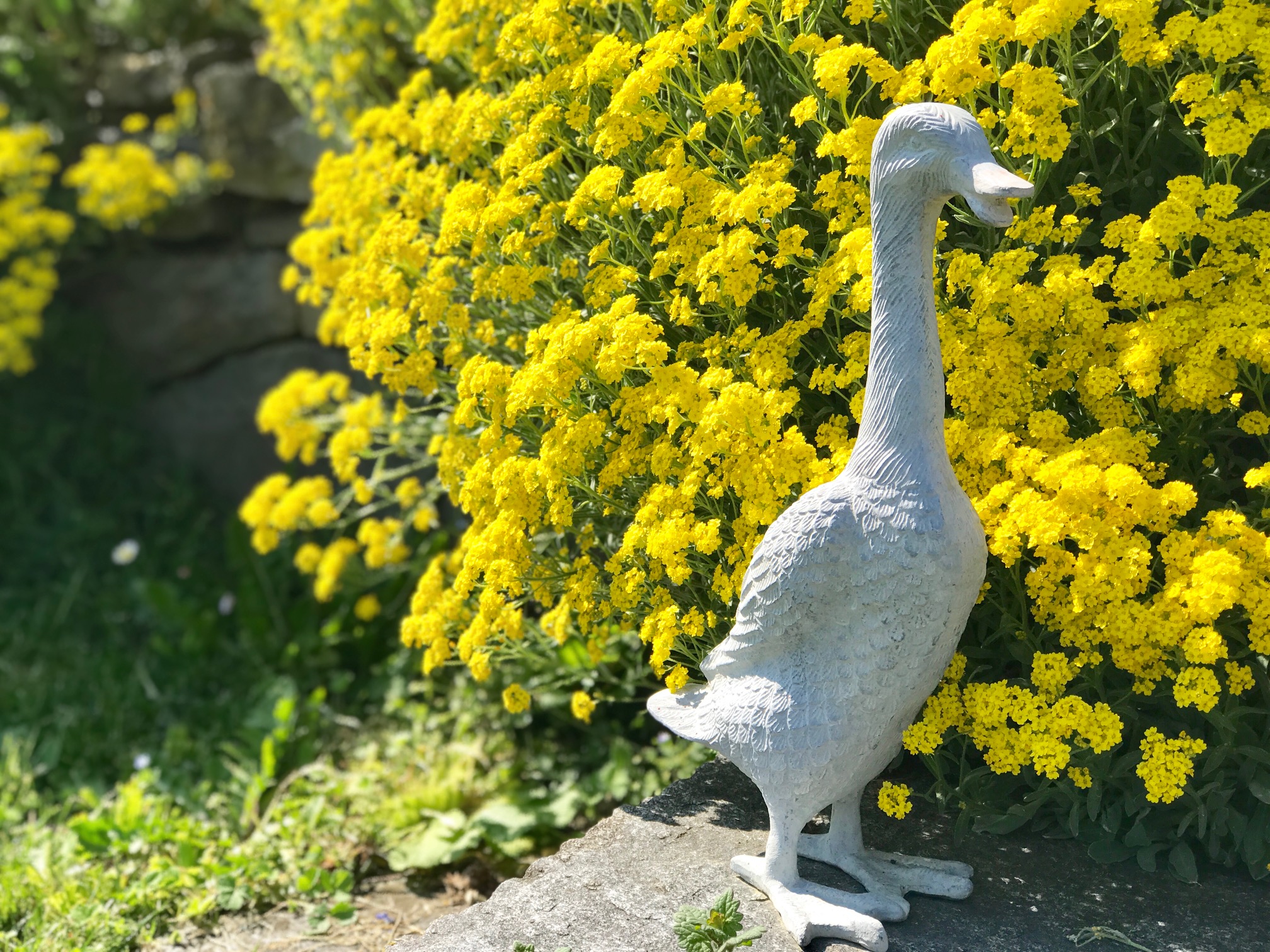 BED & BREAKFAST - Haus Steinfels | Therapiezentrum und Bed & Breakfast ...