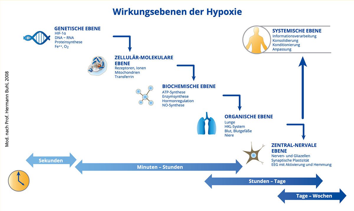IHHT Sauerstoff-Zelltraining in Ebnat-Kappel Toggenburg - Haus ...