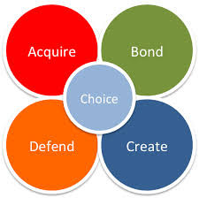 Core Human Drives - Página web de mbacc1