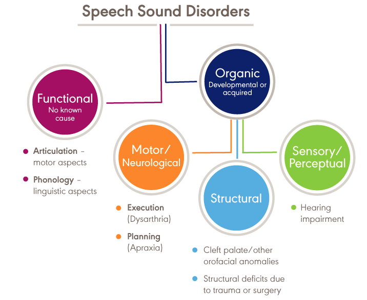 Troubles des sons de la parole : un terme parapluie ? - L'ortho en ...