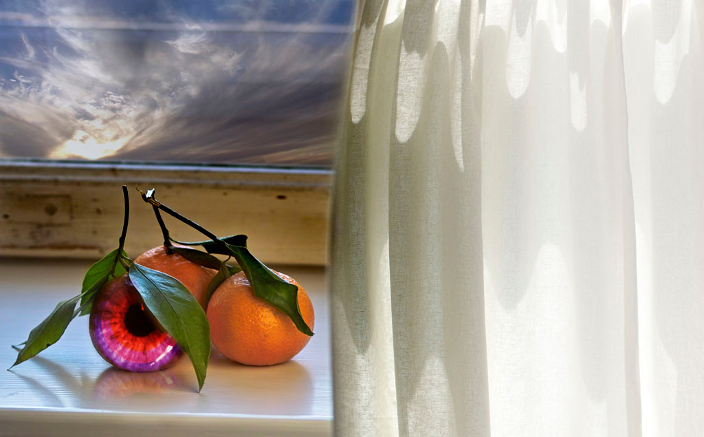 Sergio Spinelli - Artistas Visuales de San Martin