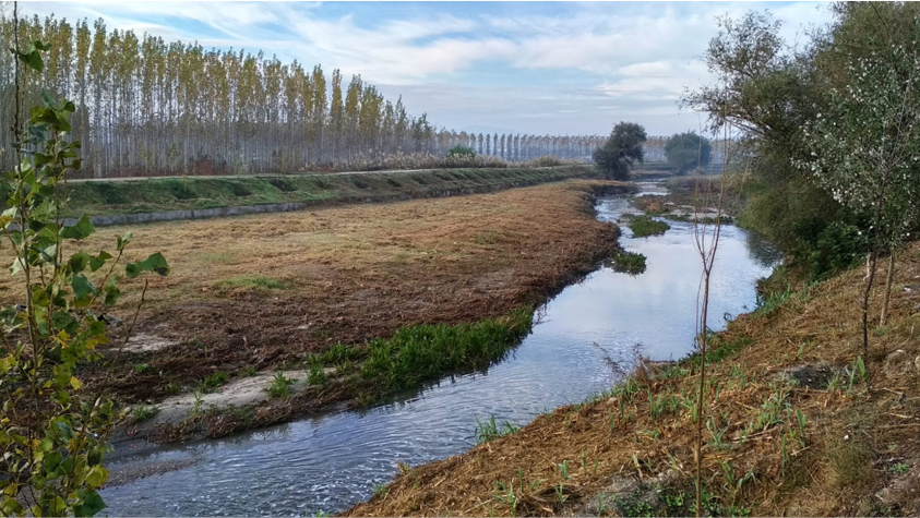 río genil - Página web de custodialosriosdegranada