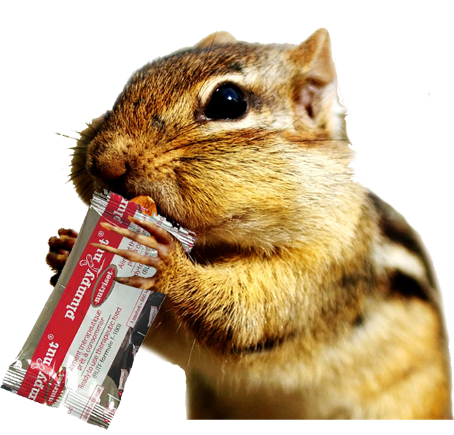 Plumpy'Nut - plumpynut