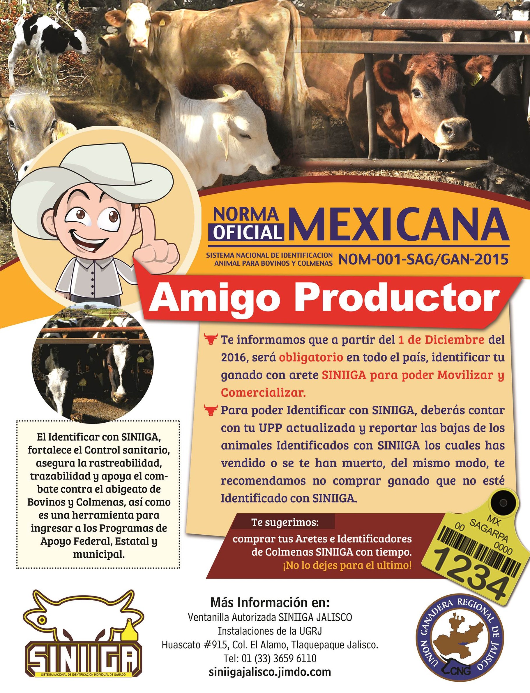 Zona con clave - Entrar - VENTANILLA AUTORIZADA SINIIGA JALISCO