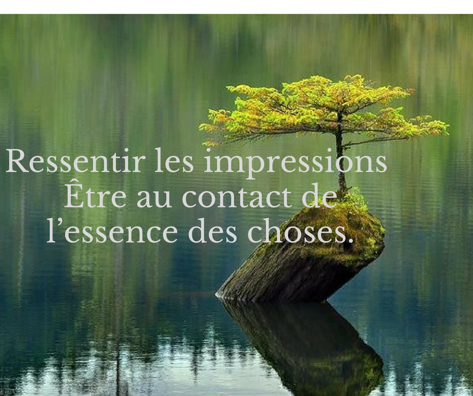 Capacité à ressentir - La Voie Directe