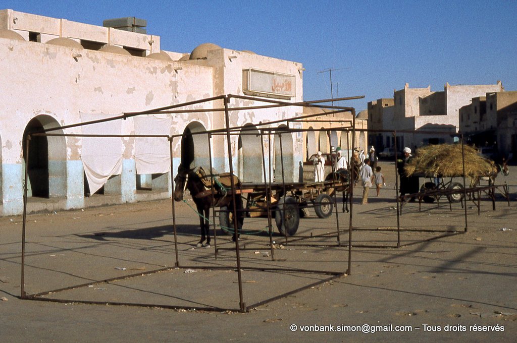DZ - Oasis - Touggourt - Photos de sites historiques et naturels du ...