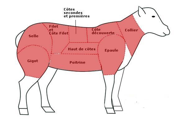 Présentation - L'Agneau d'Oléron