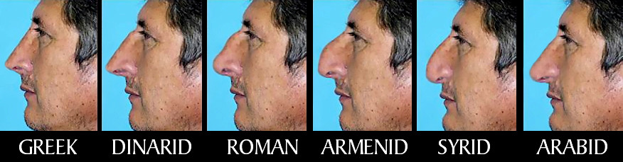 Physical Description - CEIP PUNTA DE N'AMER (English Web)