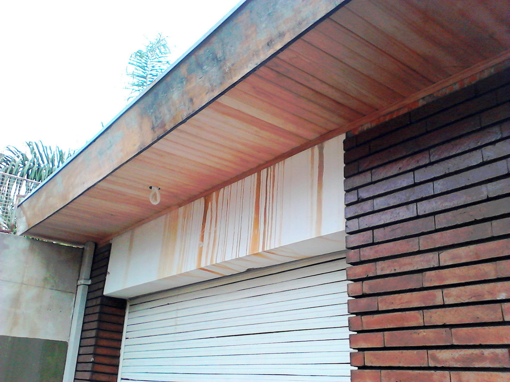 ALEROS REVESTIMIENTOS GRANDIS - gabriel solo techos