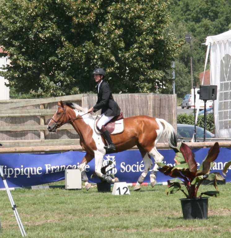 Roux Pie du Pichatier - HARAS DU PICHATIER