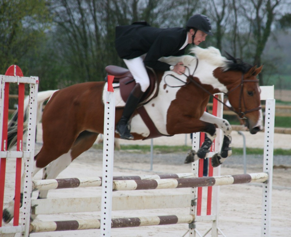 Roux Pie du Pichatier - HARAS DU PICHATIER