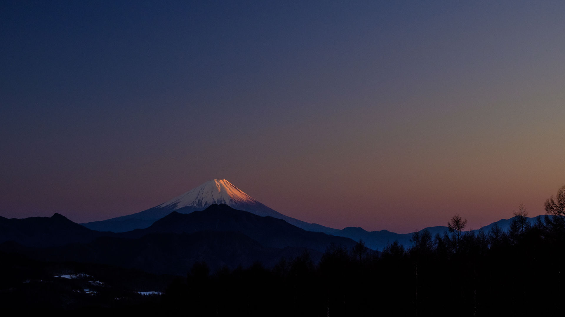 HOME - スタークル｜STARCLE