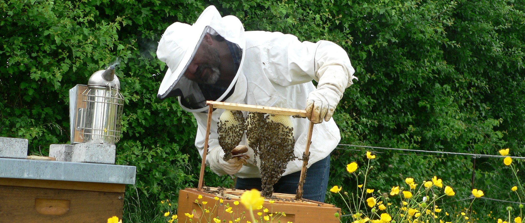 Imker - Nebenerwerbsimker - Bienenzuchtverein Waldbreitbach