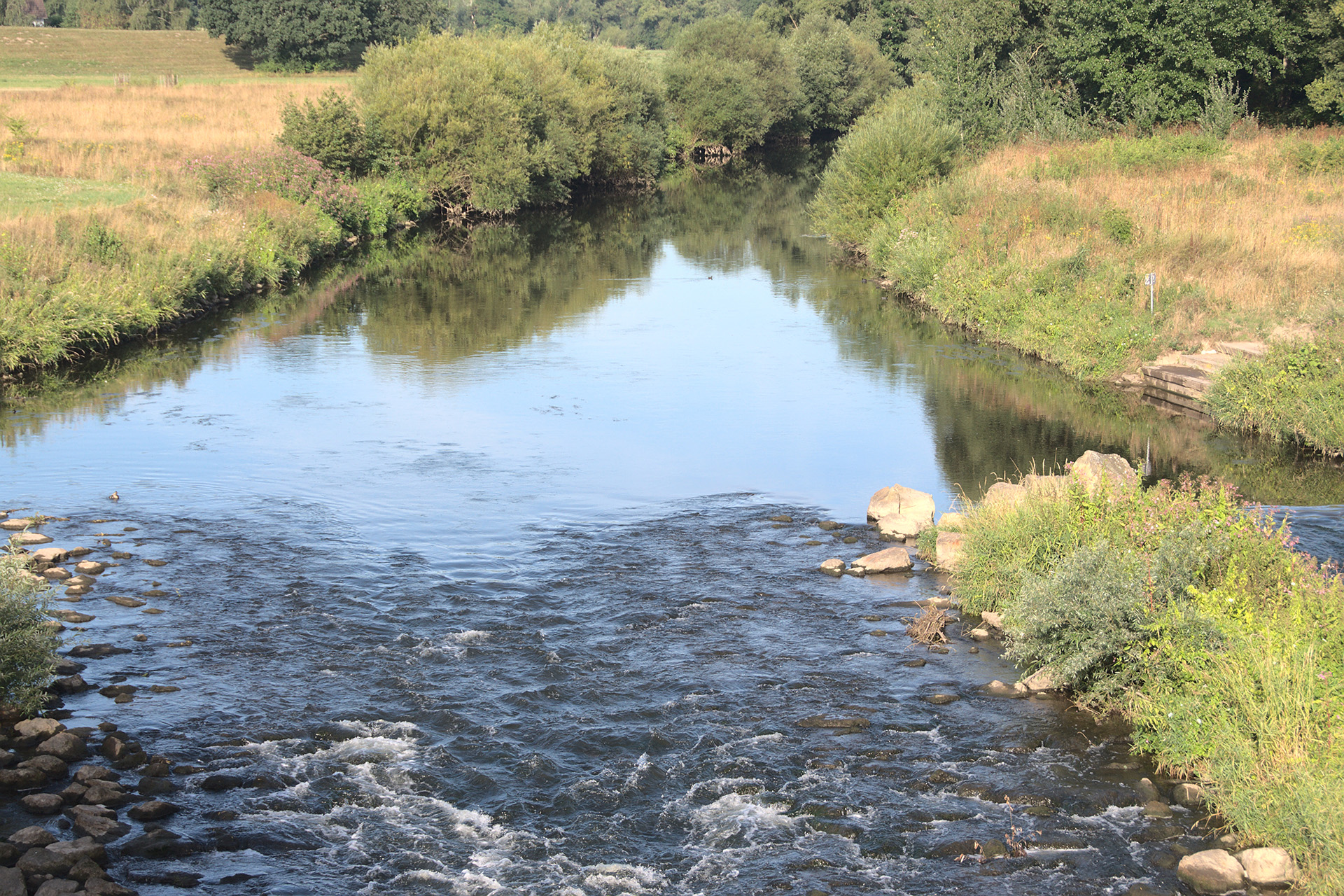 Organisation - Werre-Wasserverband