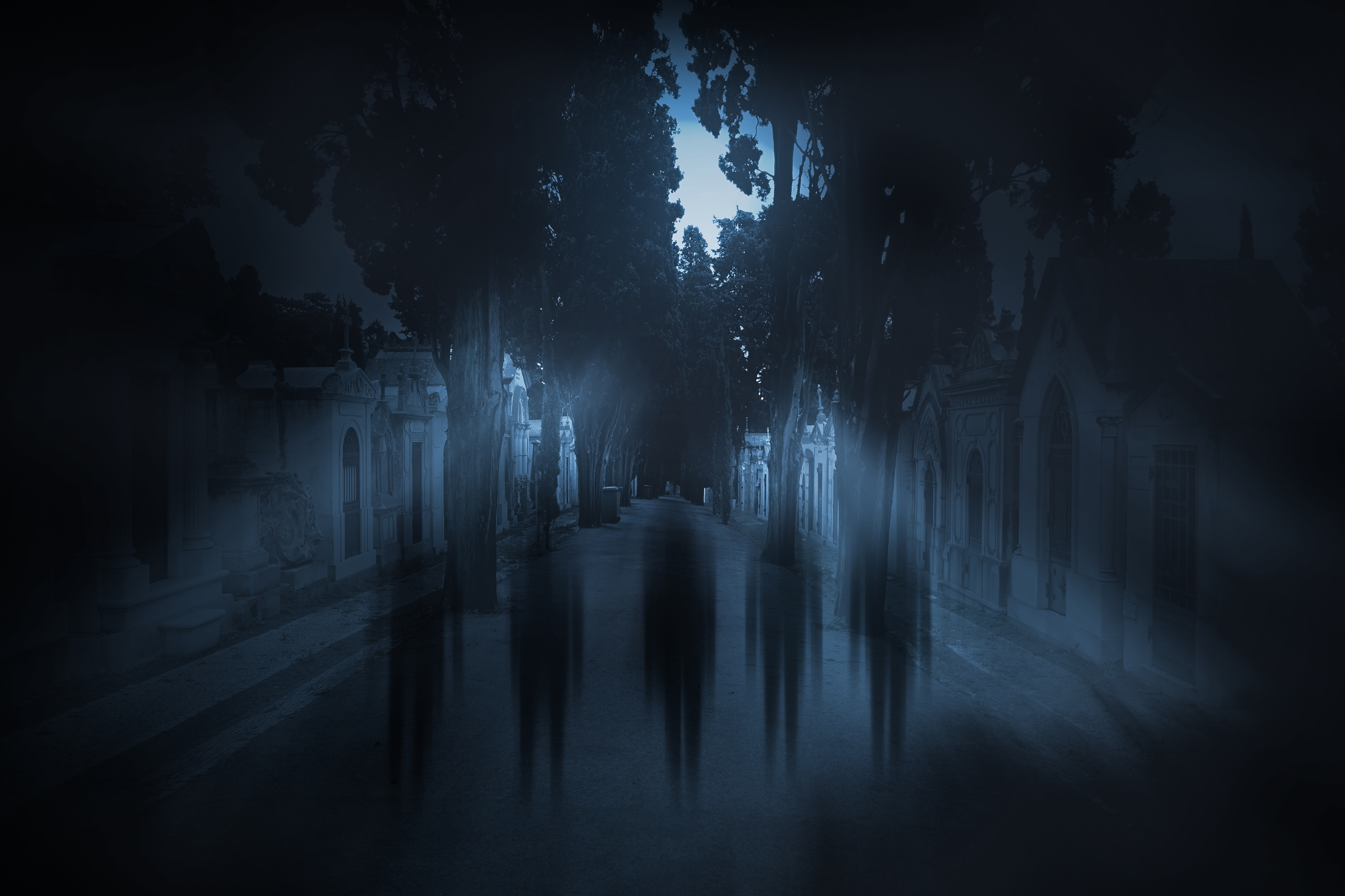 Ghost~Meet - Site de project-ghost