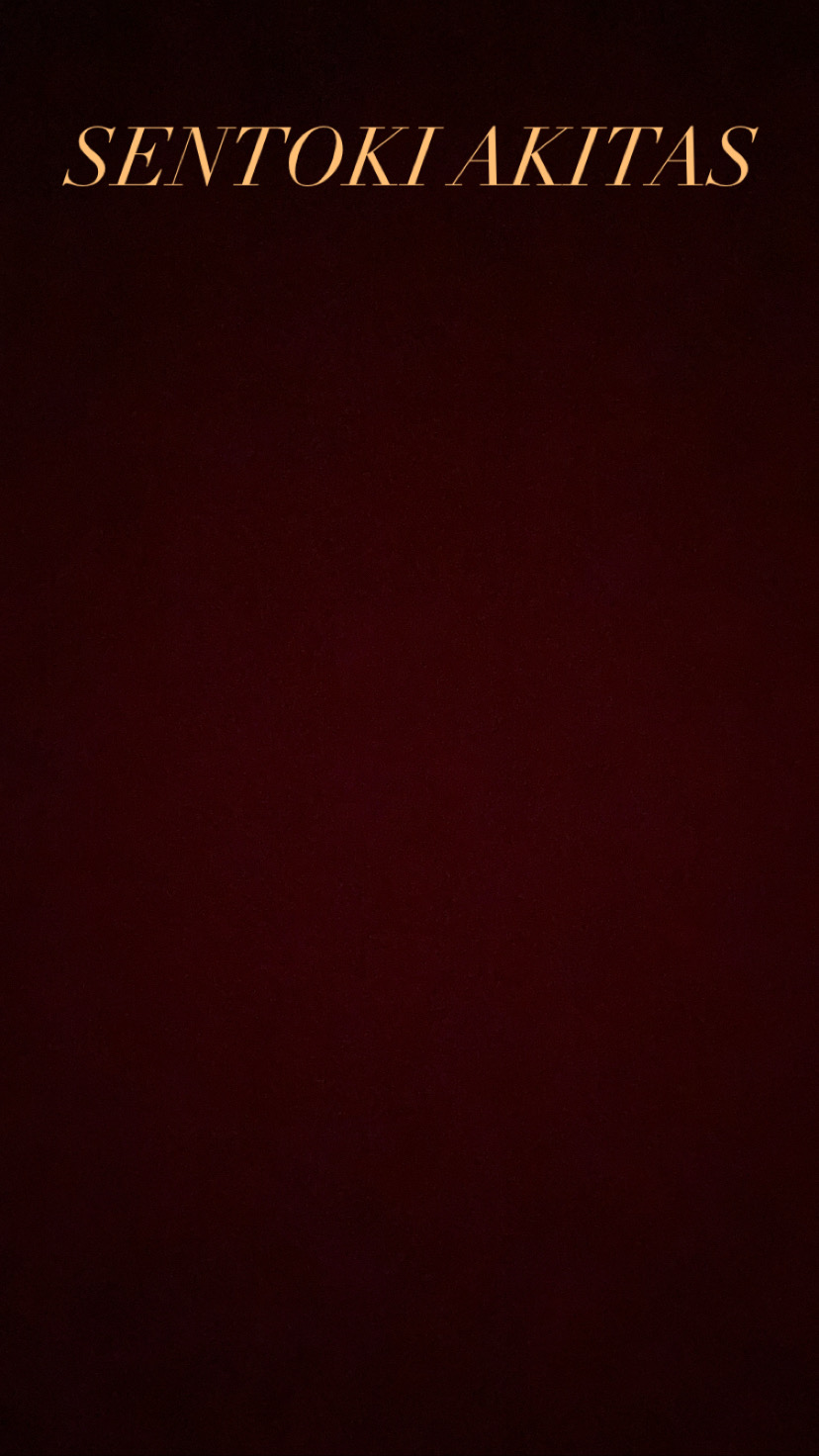 AKITA AMERICANO - Página web de akitasentoki