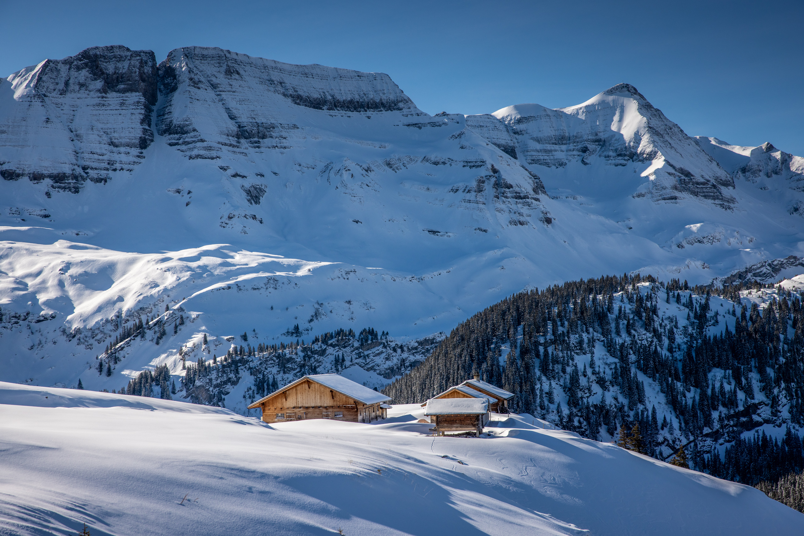 Willkommen auf der Axalp - Axalp ob Brienz