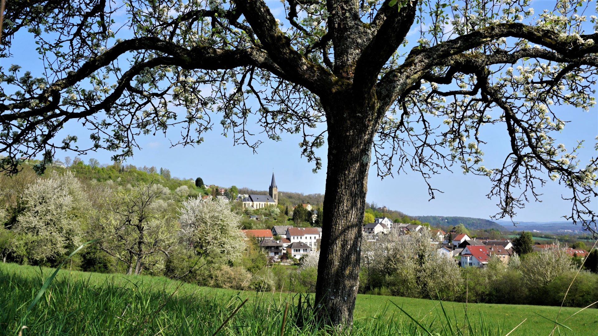 Felsberg - Felsberg/Saar