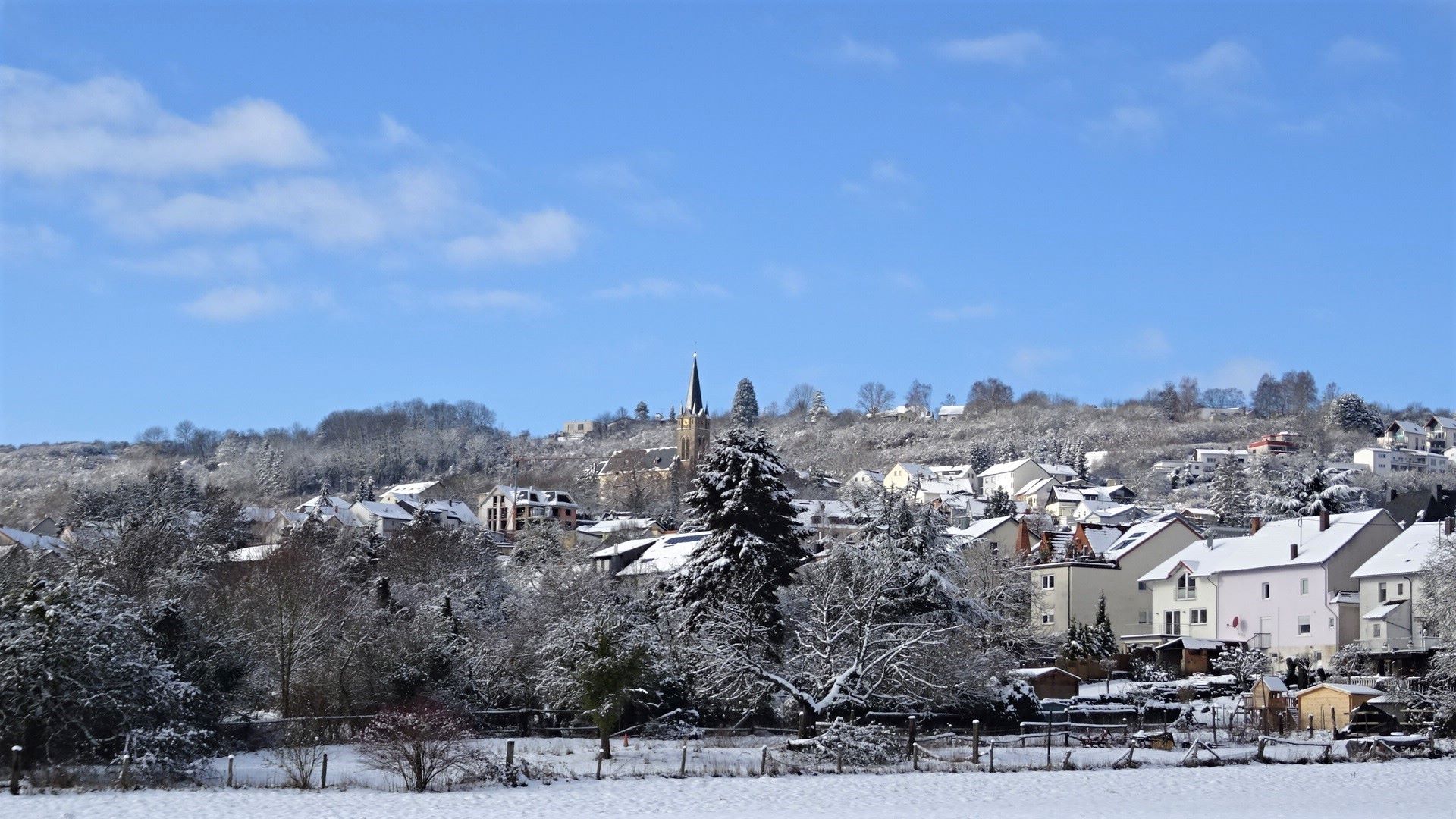 Felsberg - Felsberg/Saar