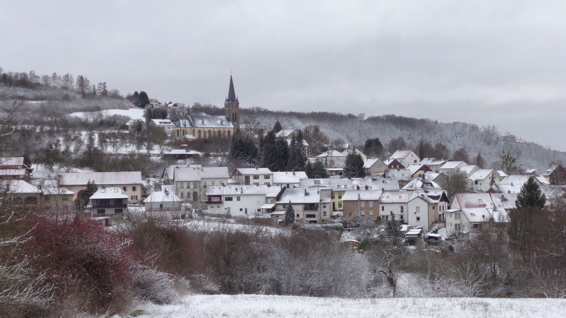 Felsberg - Felsberg/Saar