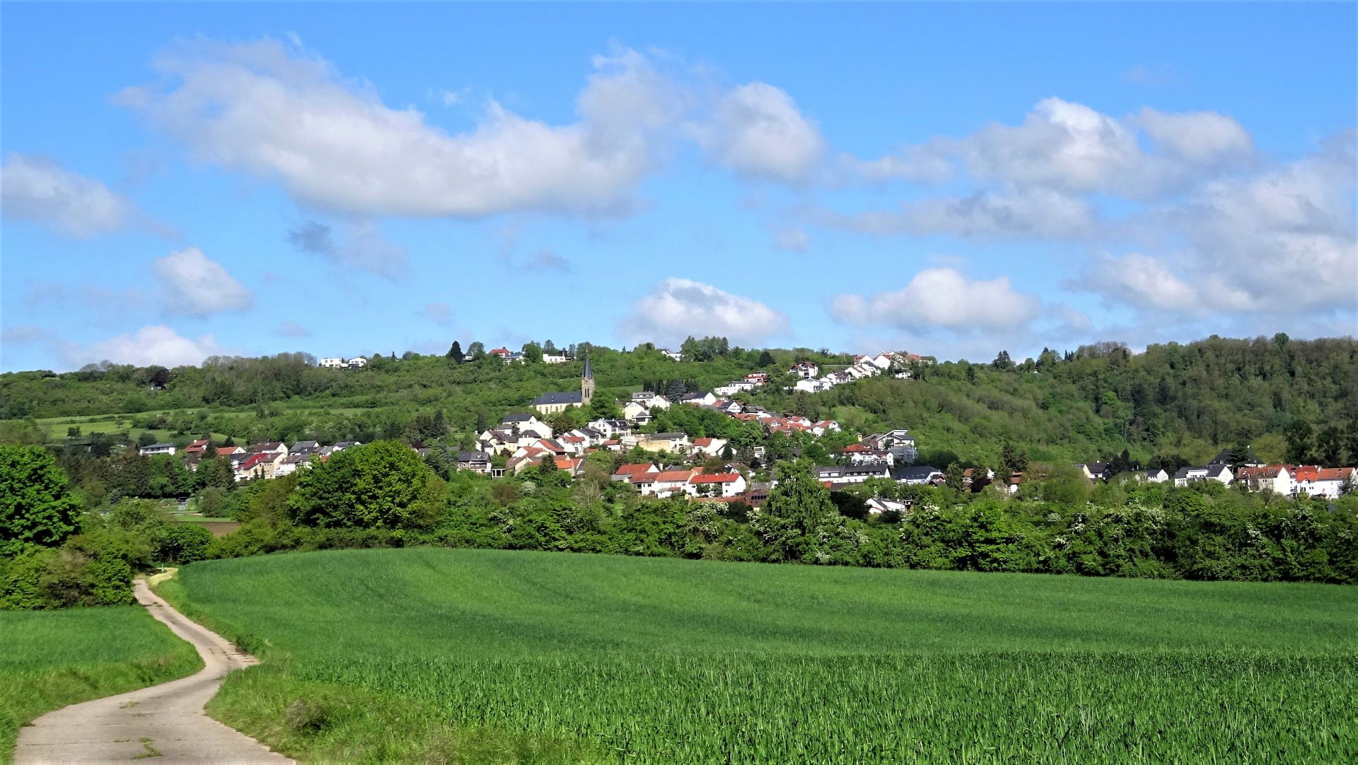 Felsberg - Felsberg/Saar