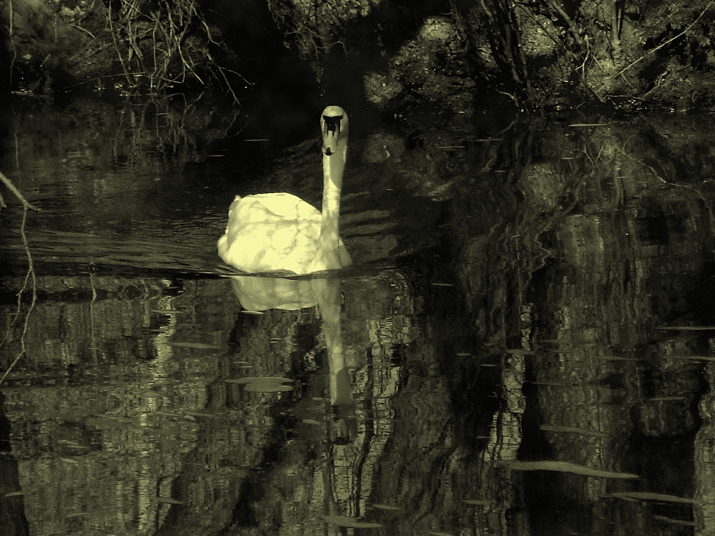 Mes Photos Préférées - Site de jacques-bouvier