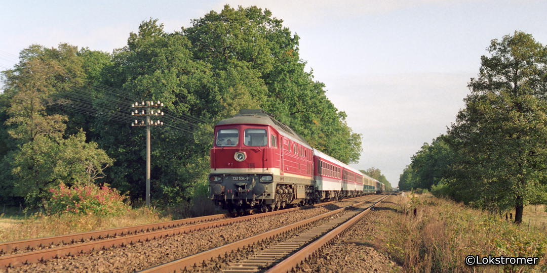 DR-Baureihe 132 - Lokstromer