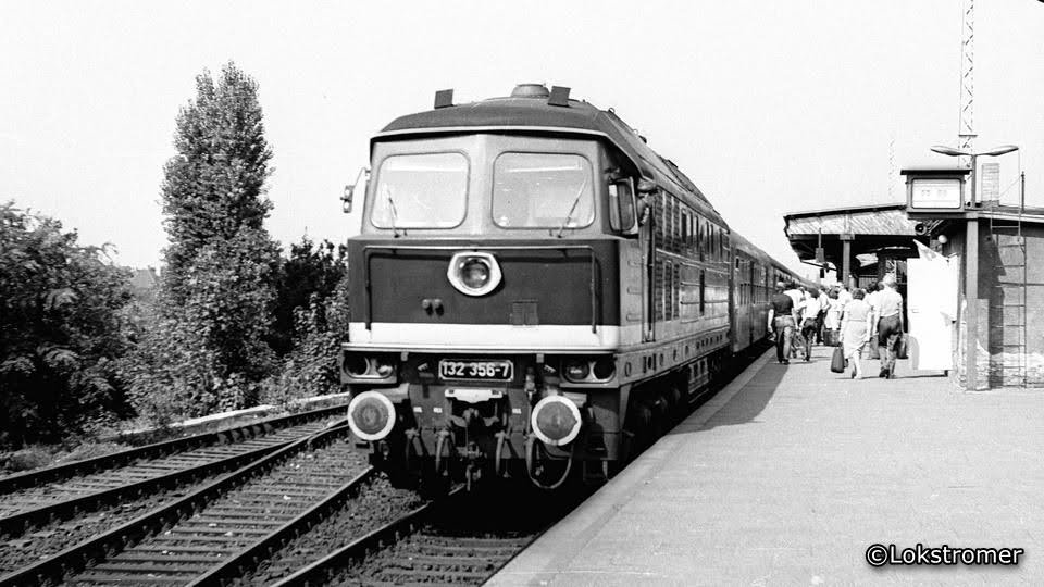 DR-Baureihe 132 - Lokstromer