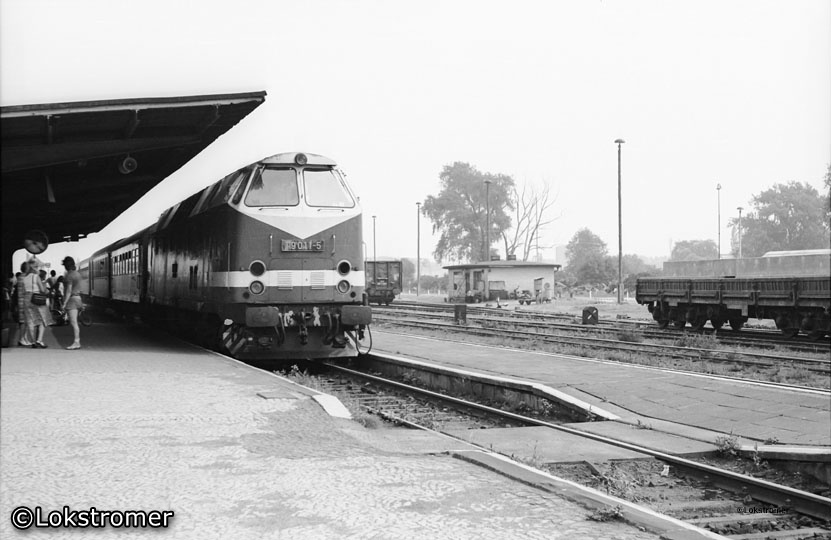 DR-Baureihe 119 - Lokstromer