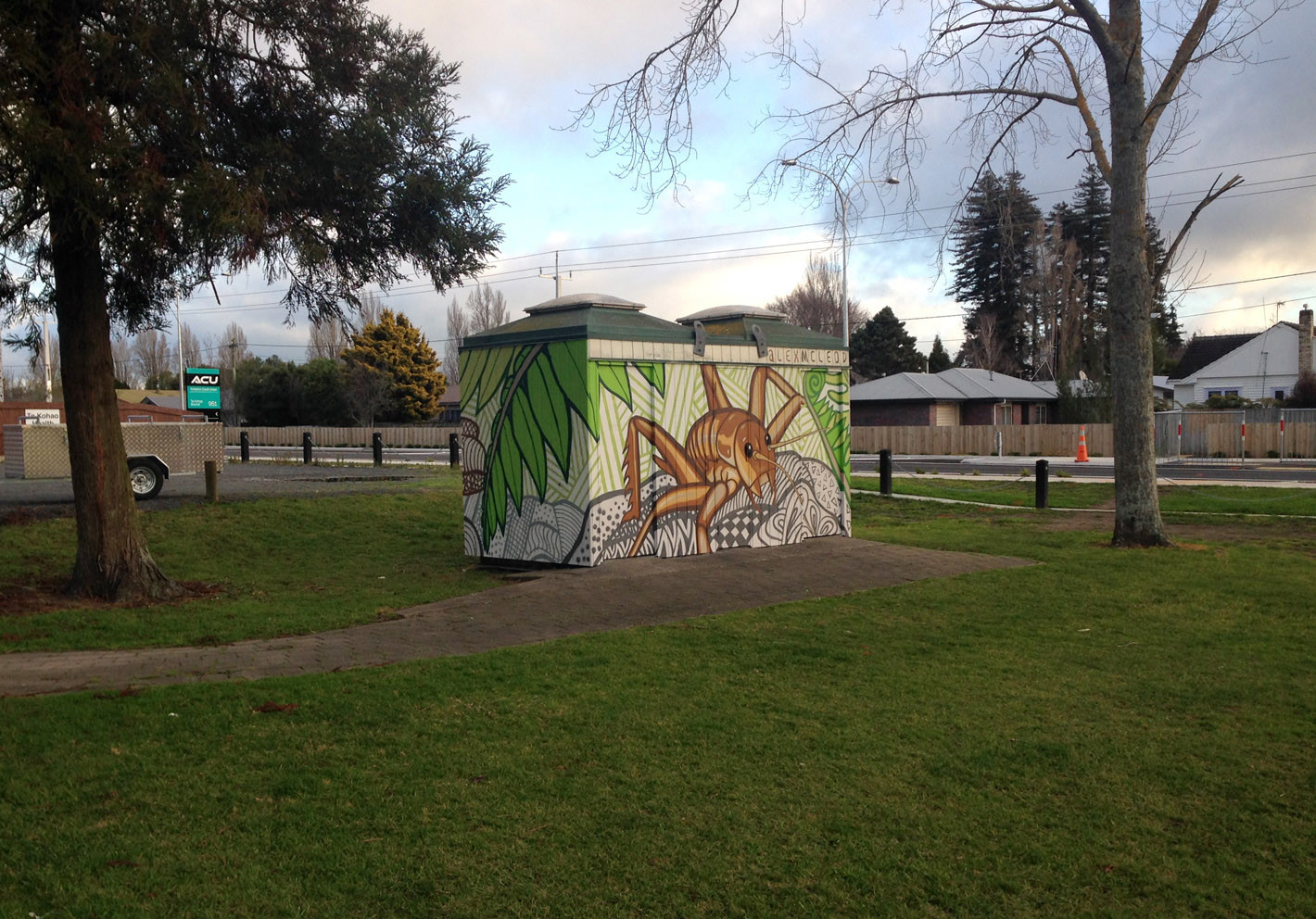 City Murals - NZ Murals