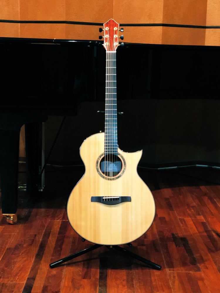 My Guitar - masatoshi-takeda-musicman