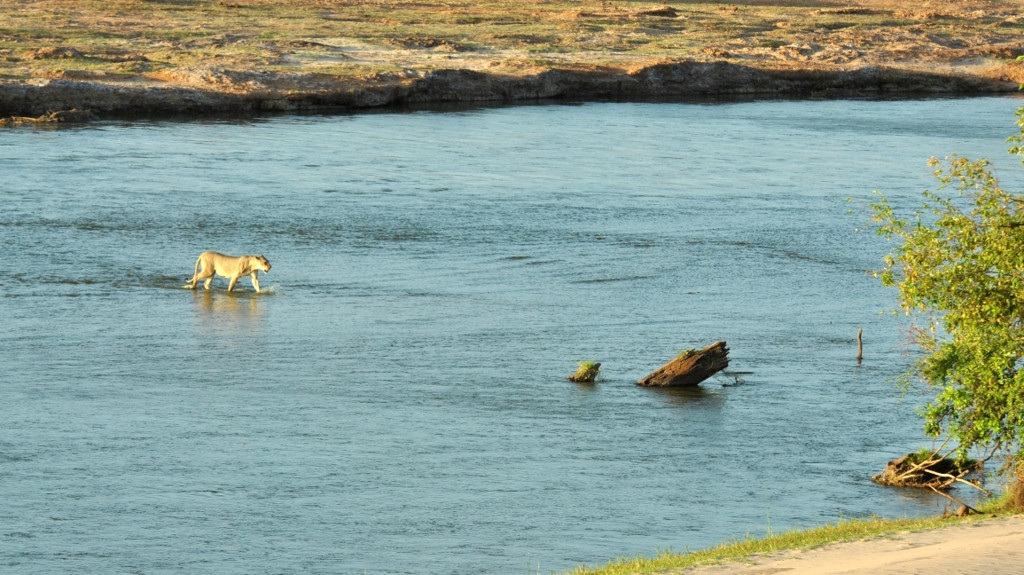 Athi-Galana-Sabaki River - Vacanze e Turismo in Kenya - Viaggio ...