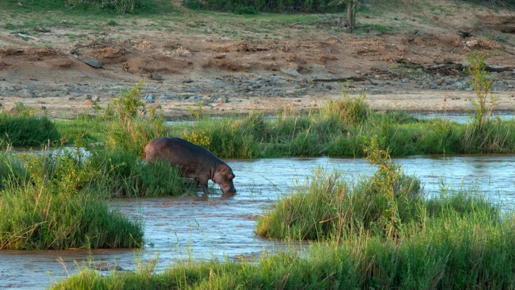 Athi-Galana-Sabaki River - Vacanze e Turismo in Kenya - Viaggio ...