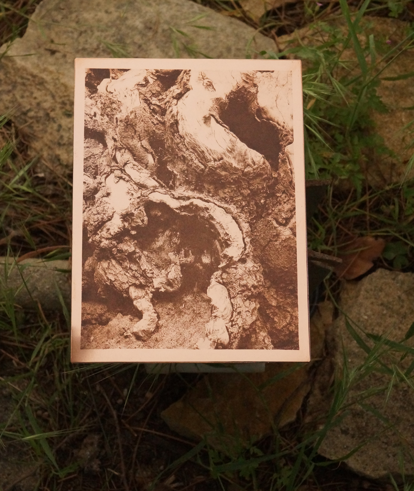 héliogravure - héliogravure sur cuivre