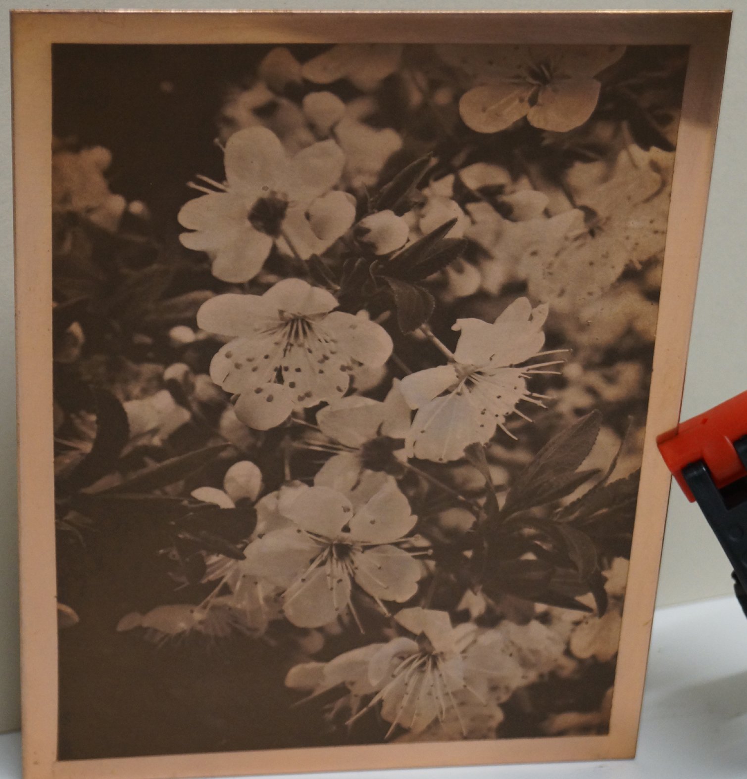 gravure au perchlorure - héliogravure sur cuivre