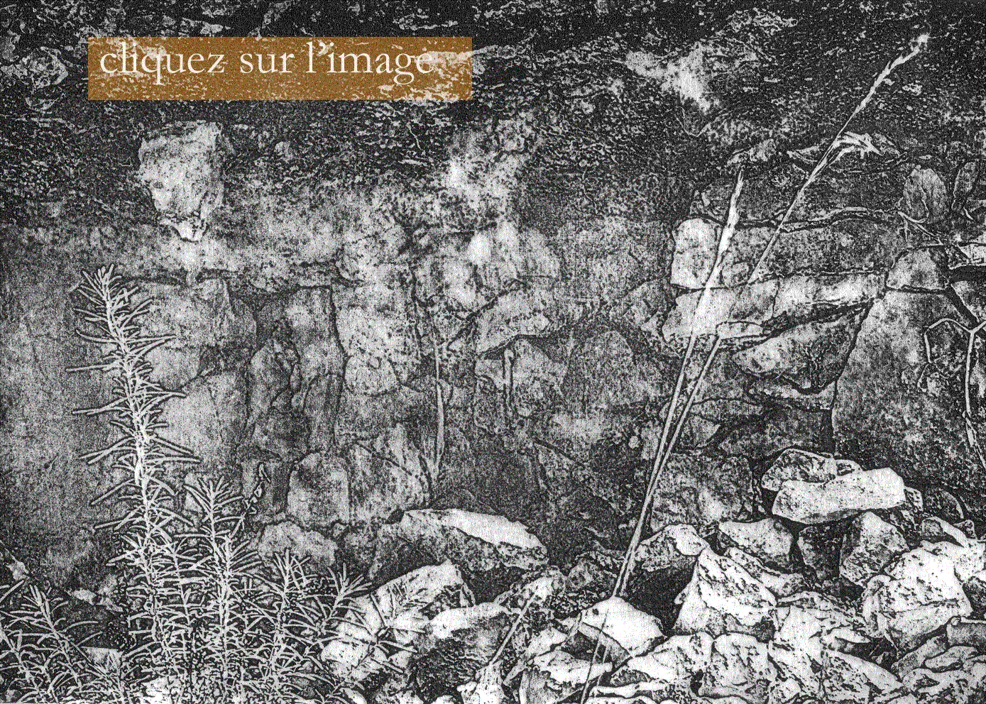 héliogravure - héliogravure sur cuivre