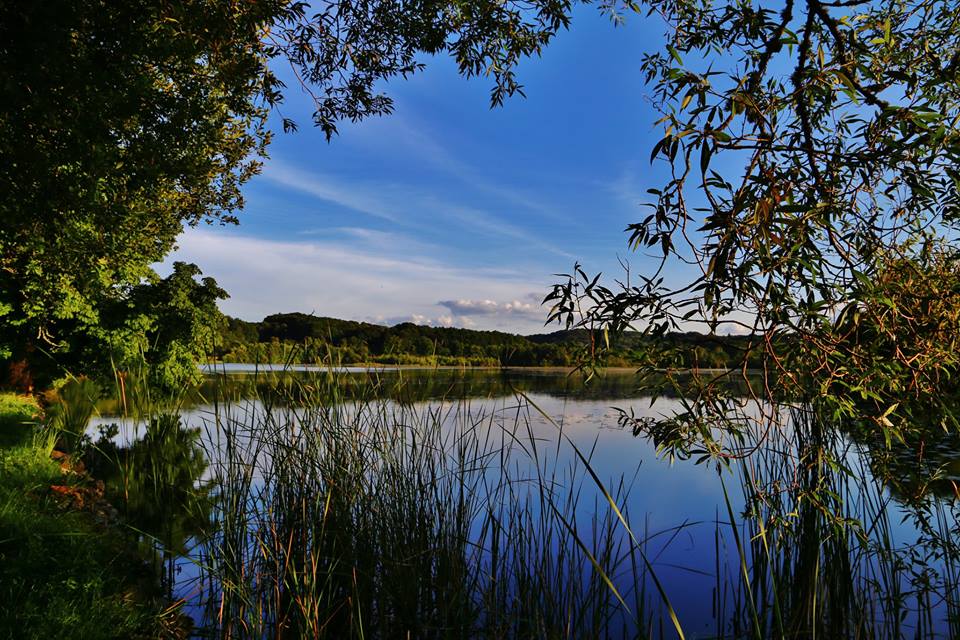 Masgot en Creuse, le village sculpté de François Michaud - GuiridenVacances