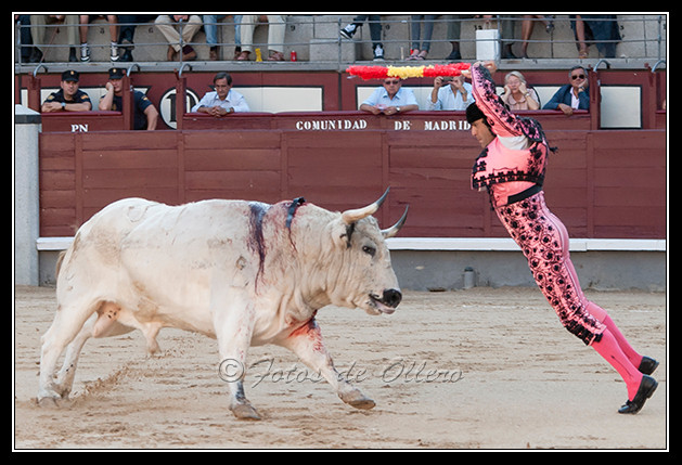 Banderilleros - Página Jimdo de fotostaurinasdeollero