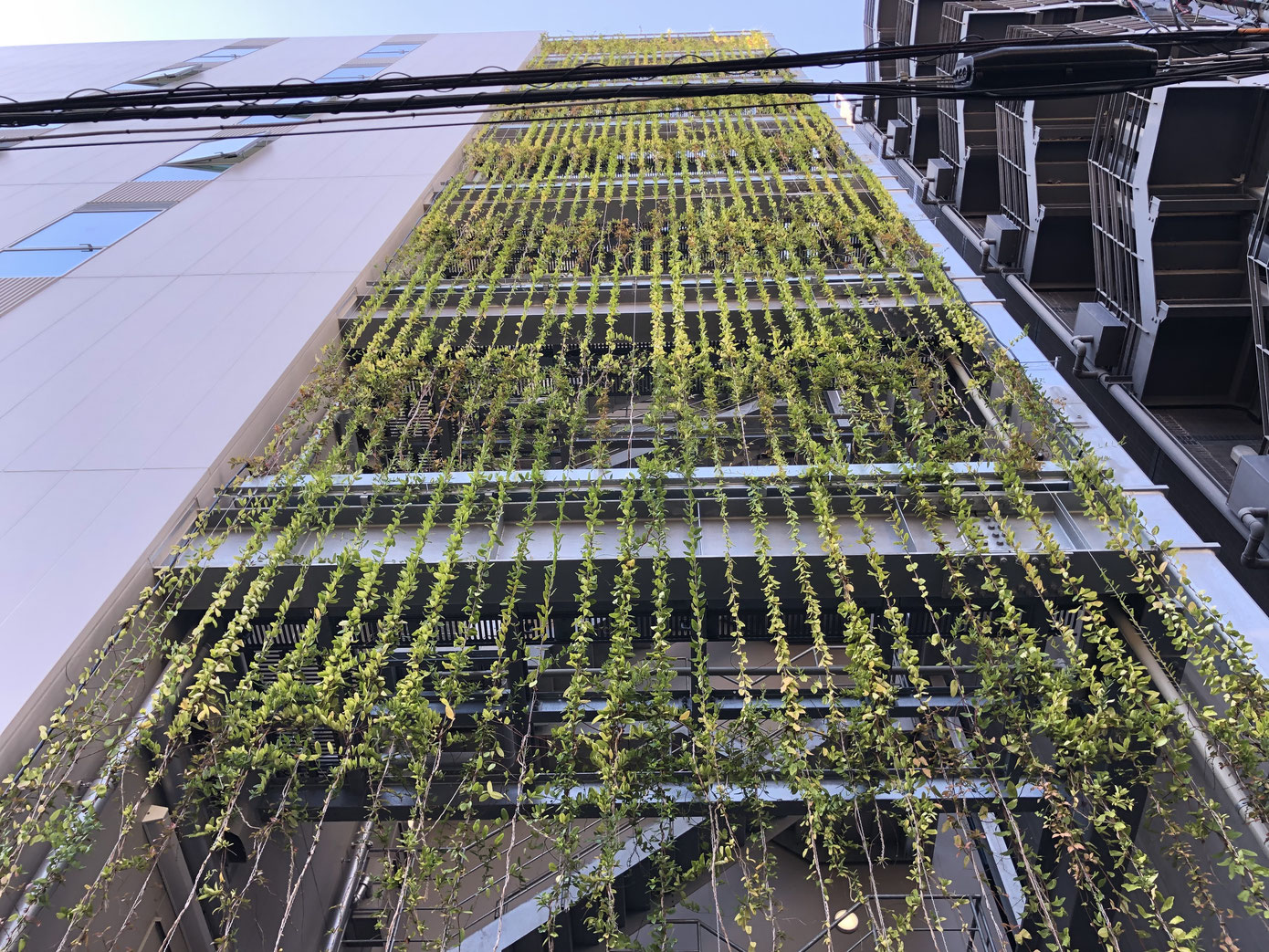 ULTIMA Green Wall Wire Rope_easiest wire installation in the world ...