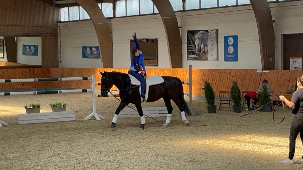 Schöne Erfolge für unsere VoltigiererInnen in Koblenz-Metternich - Reit ...