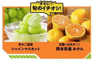 【2025年】Oisixのブラックフライデーセール開催│75%OFFのお試しセット15品入り！ - oisixのキャンペーン情報！