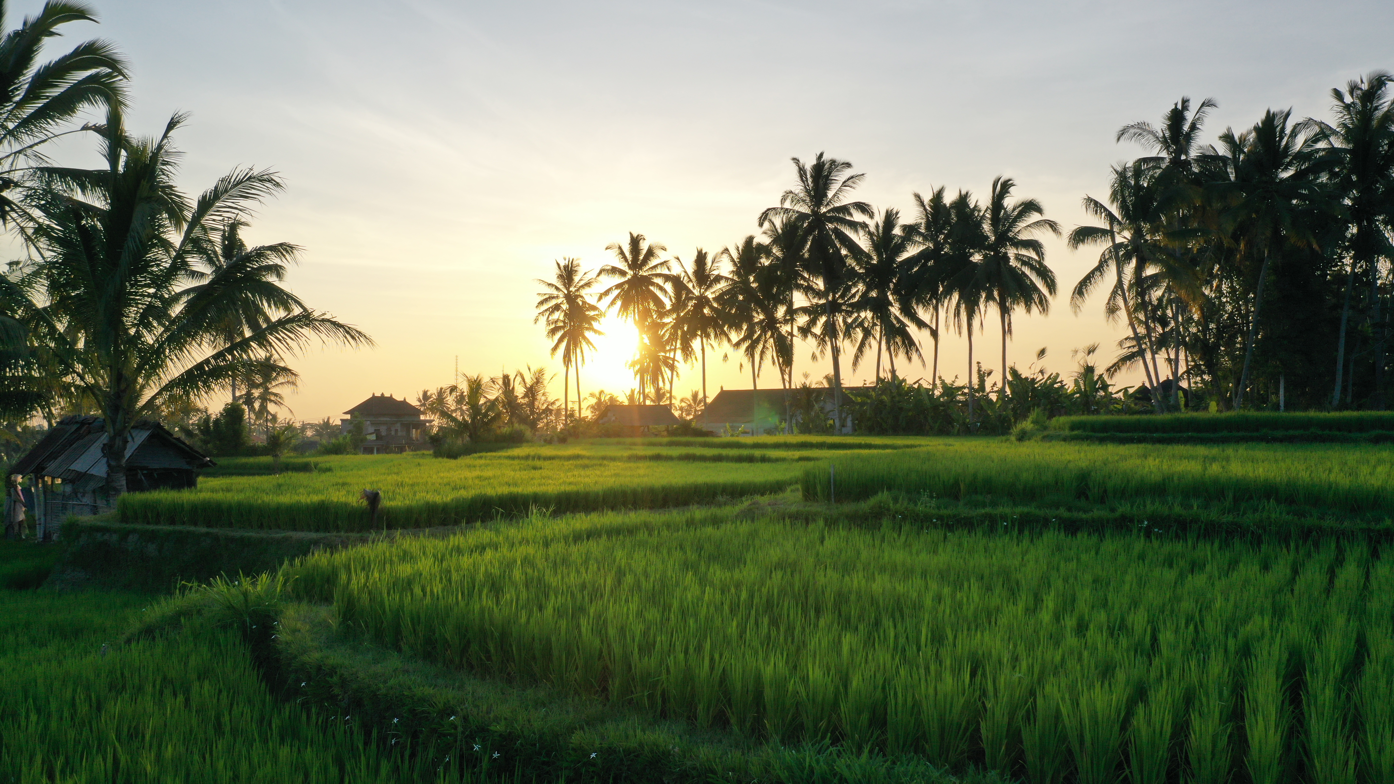 Mac Ritchie Reservoir - We Chasing Memories