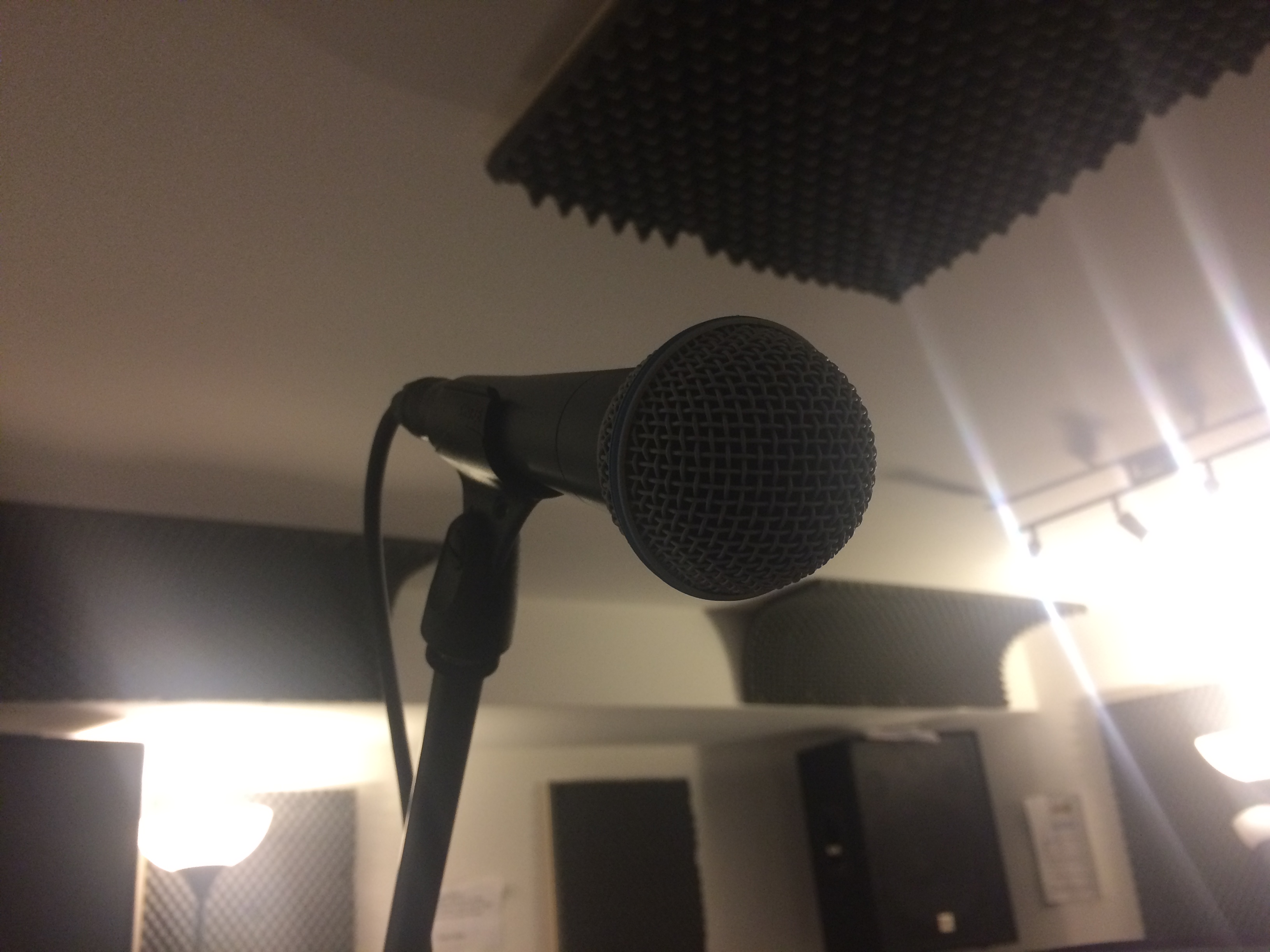 Cellarfolks - susi-li-wongs Webseite!