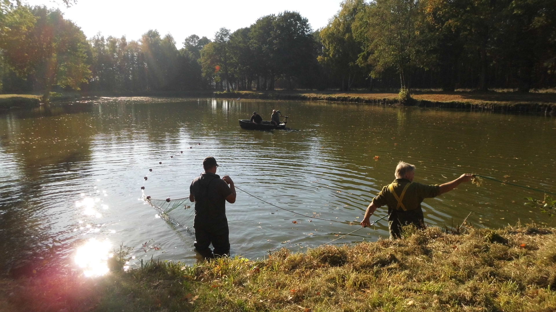 Weihnachtsbaumverkauf - SAV Tespe Sportanglerverein